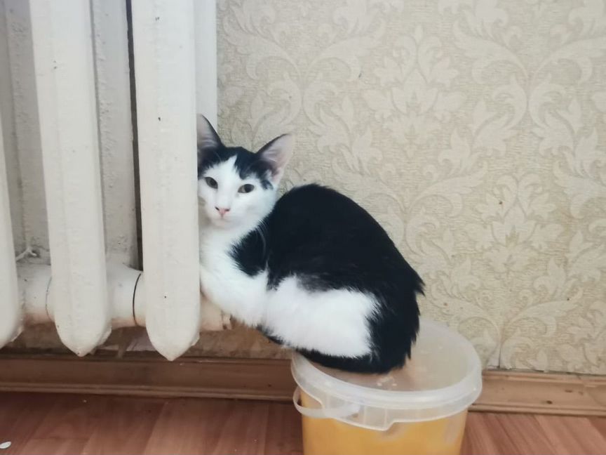 Мальчик 8 месяцев