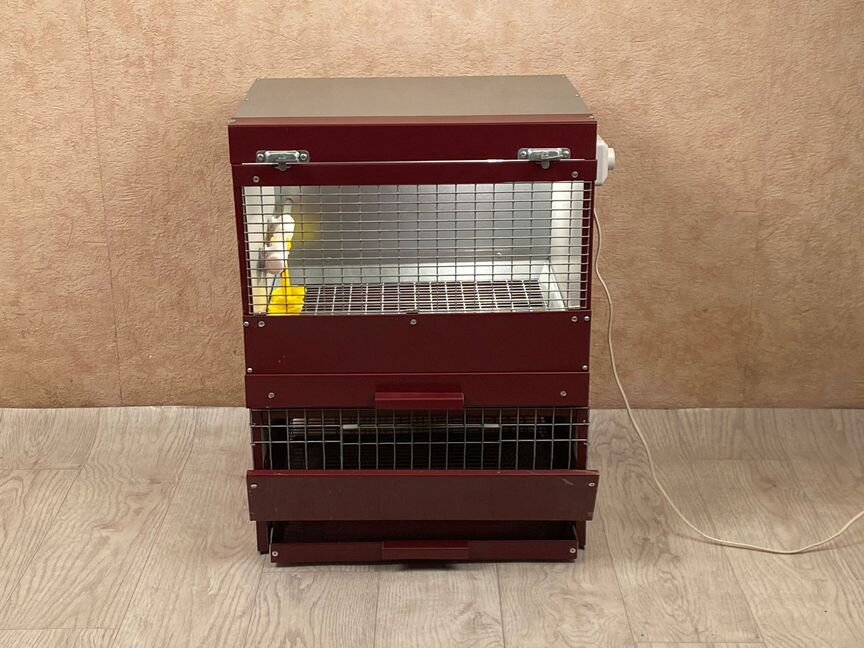 Клетка брудер для перепелов