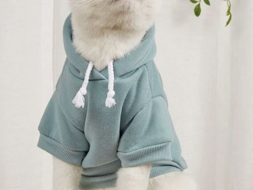 Худи/толстовка для уошек и котов