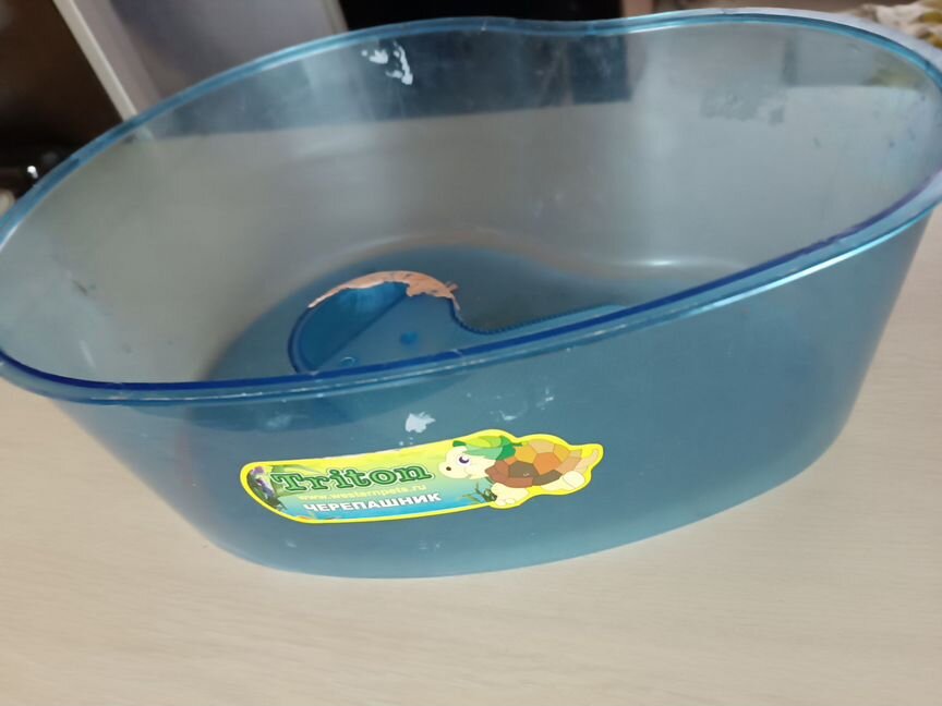 Бассейн для черепах отдам