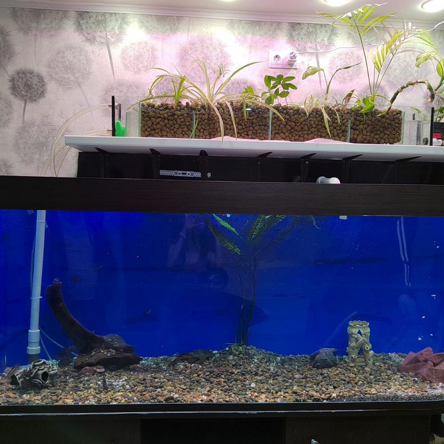 Аквариум с тумбой 1000 л