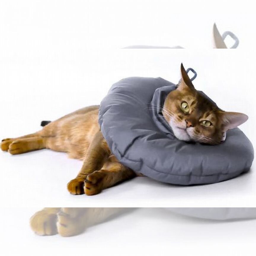 Защитный воротник - подушка для собак и кошек