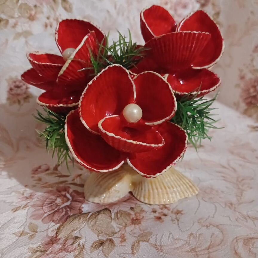 Ракушки для аквариума