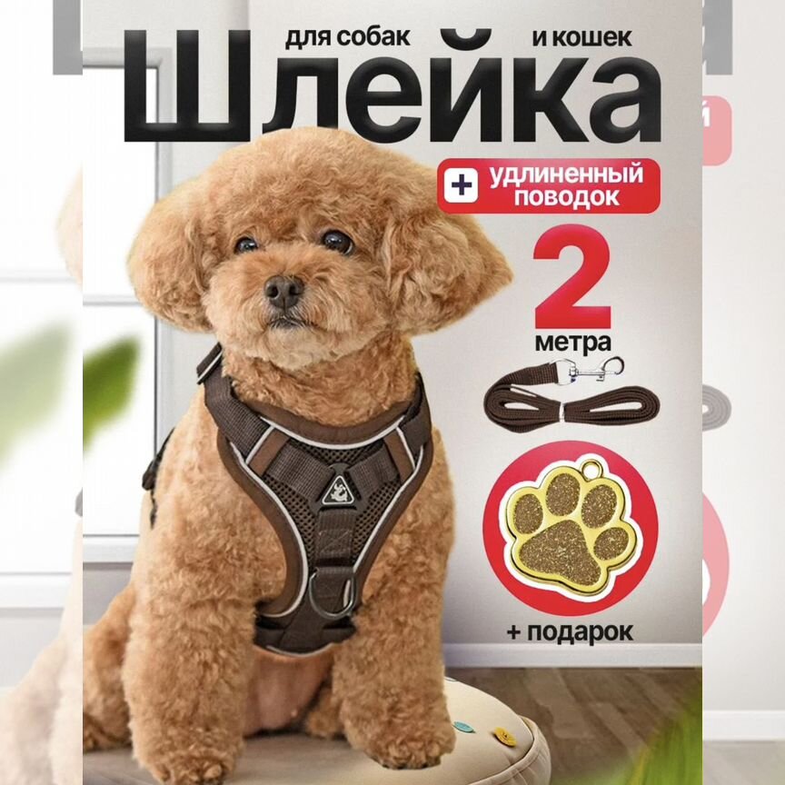 Шлейка для маленькой собаки