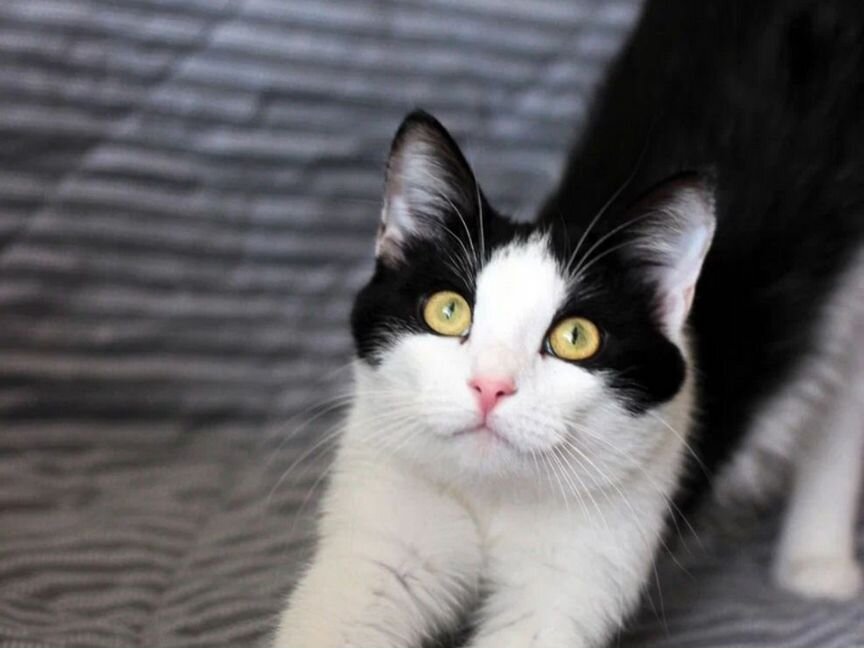 Ариша очень ждёт своего человека