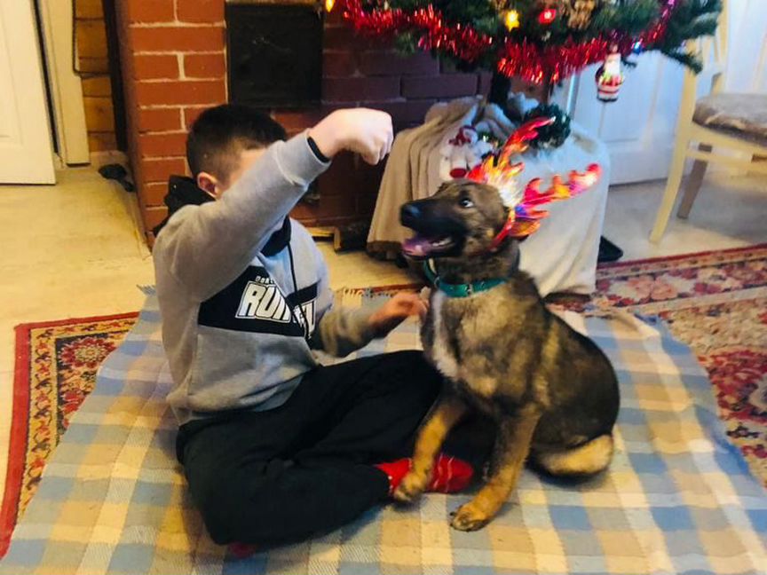 Щенок в добрые руки