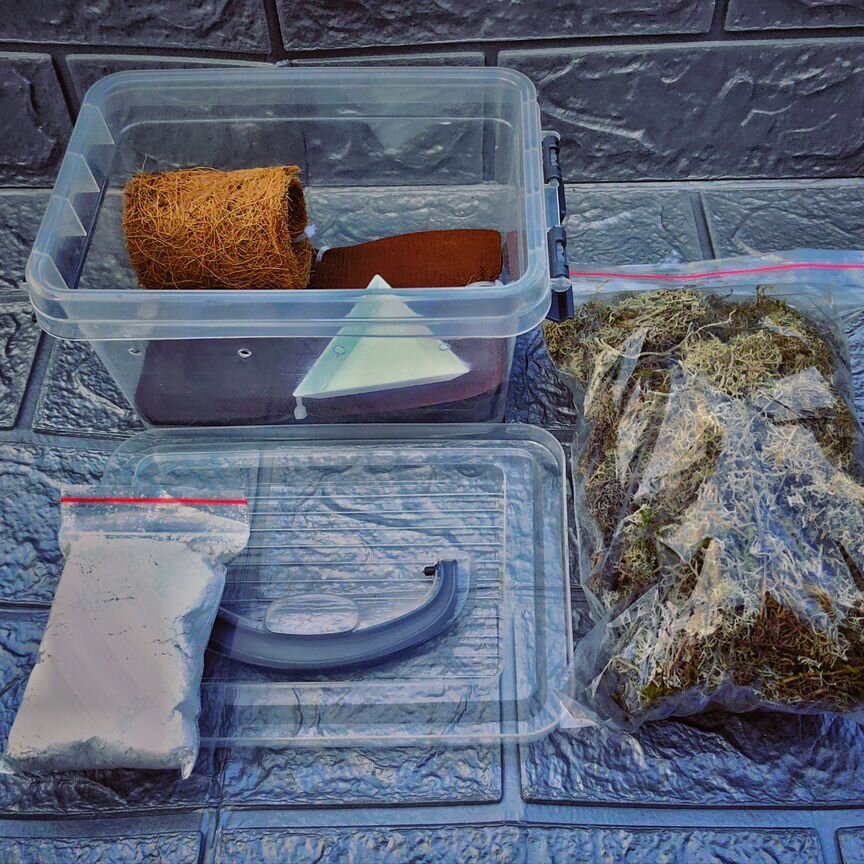 Террариум для улиток