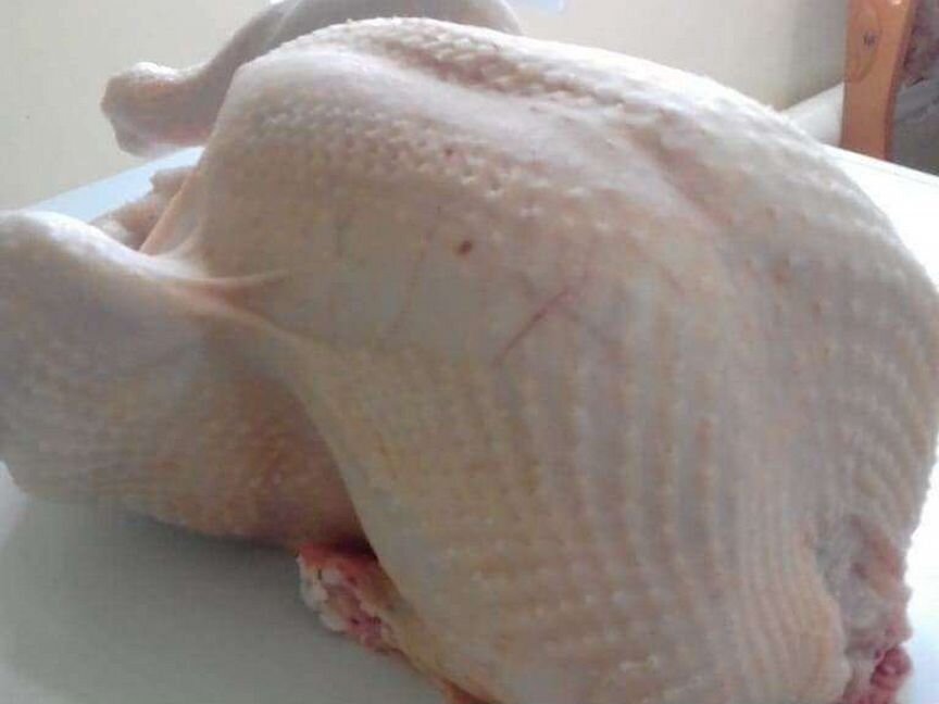 Гусь, индюшки