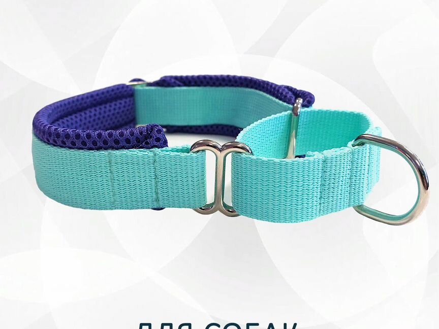 Ошейник мартингейл Мятно-фиолетовый для собак