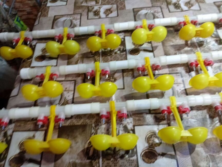 Нипельные поилки для птиц для кроликов