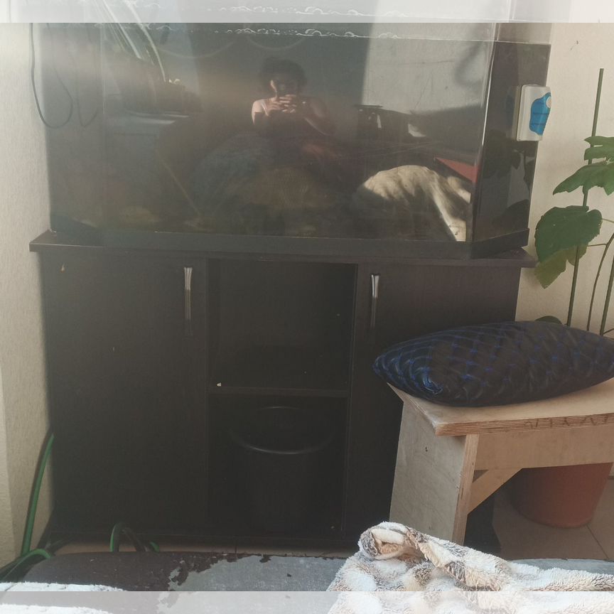 Аквариум вместе с тумбой