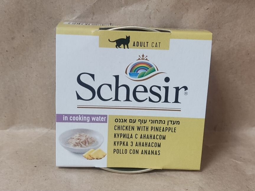 Schesir