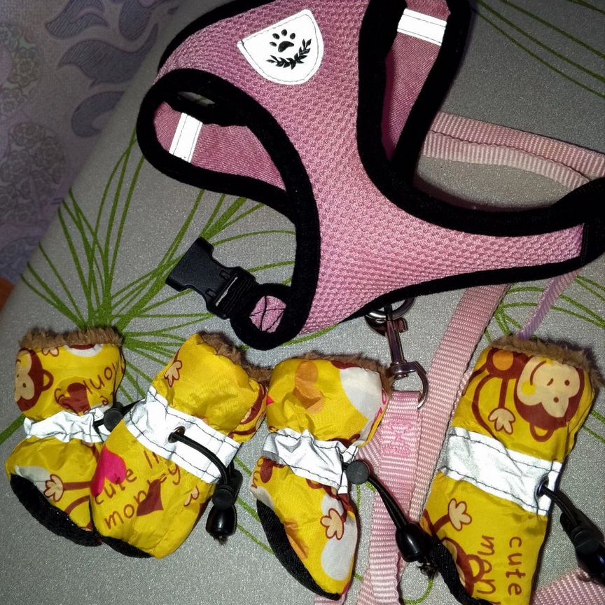 Шлейфа и сапожки