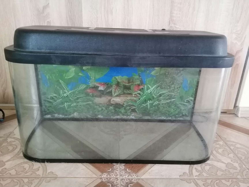 Аквариум