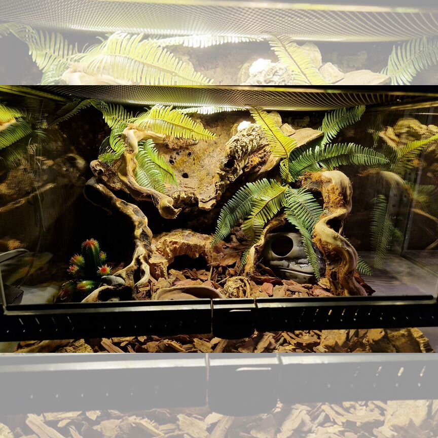 Террариум для эублефара