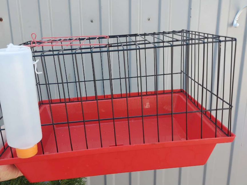 Клетка для грызунов бу