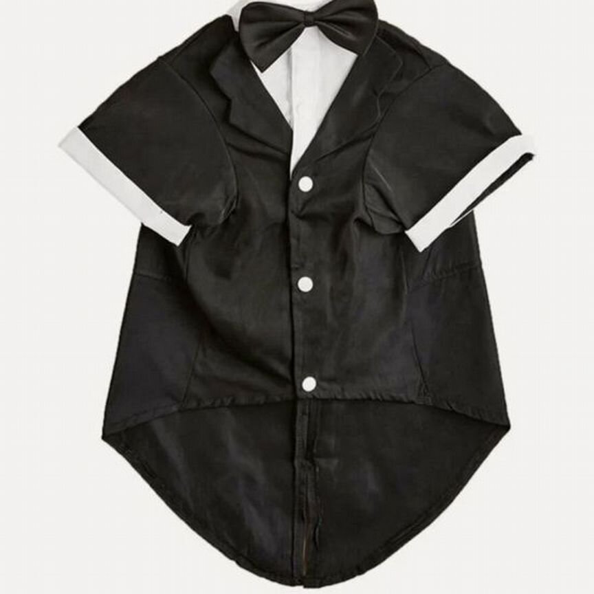 Смокинг для собак