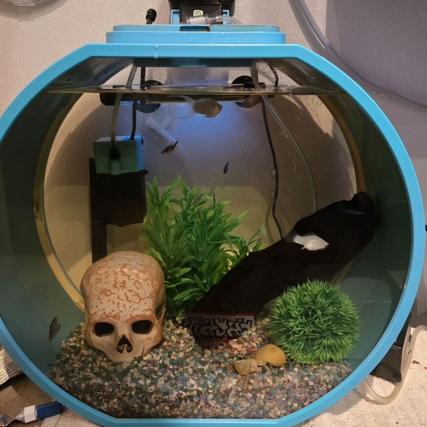 Аквариум 20 литров