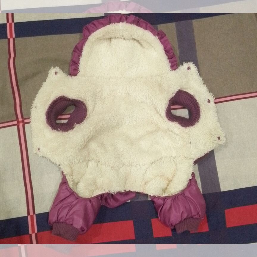 Шубка для йорка, шпица