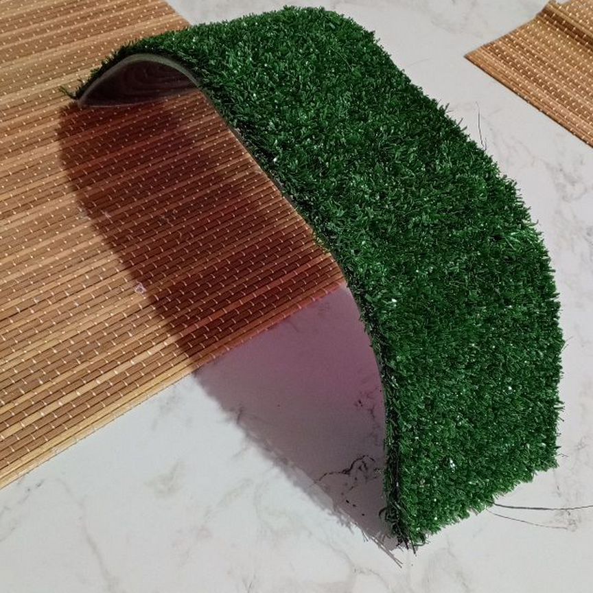 Мостик для черепах