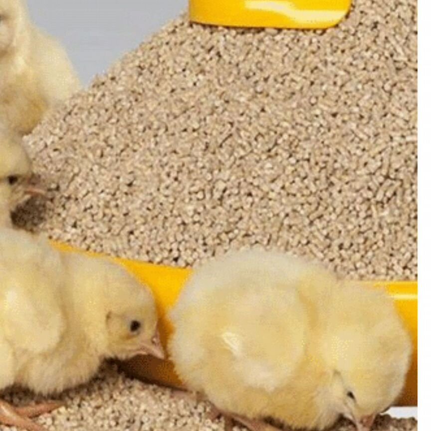 Гранулы для цыплят 1-2мес 3-4мес