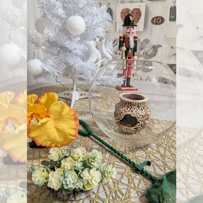 Аквариум для петушка 3 л с аксессуарами