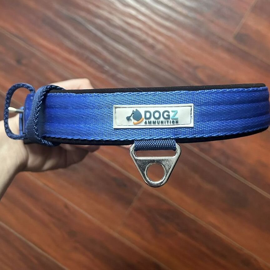 Ошейник для собак