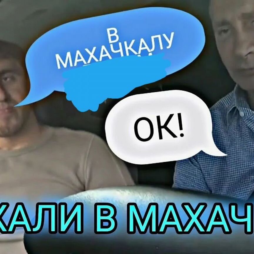 Бойцовая птица шамо