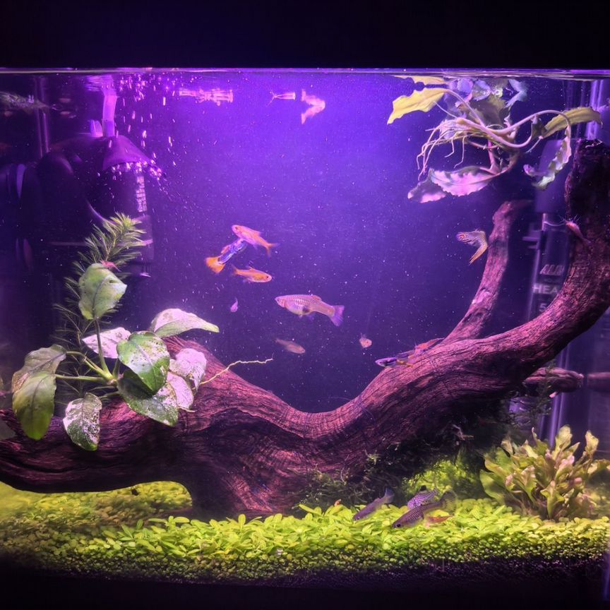 Аквариум 16 литров комплект