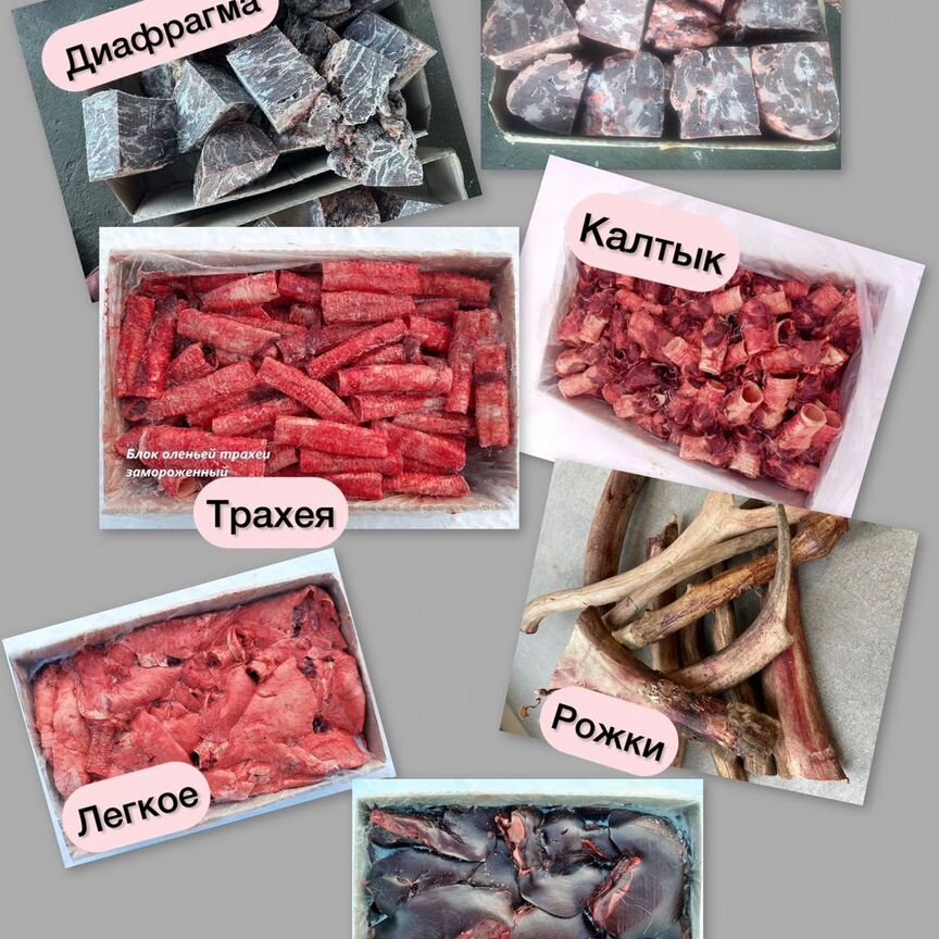 Оленина для собак. Свежее мясо для.Субпродукты