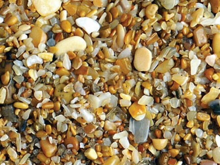 Грунт Морская фантазия ракушечник