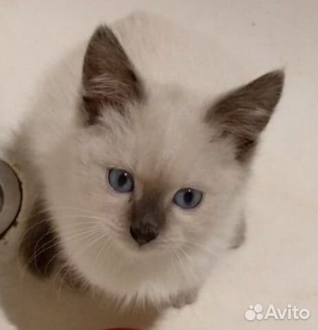 Малышка девочка