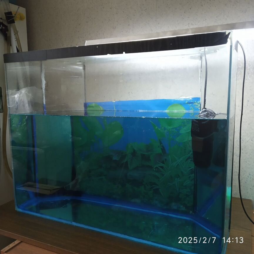 Аквариум