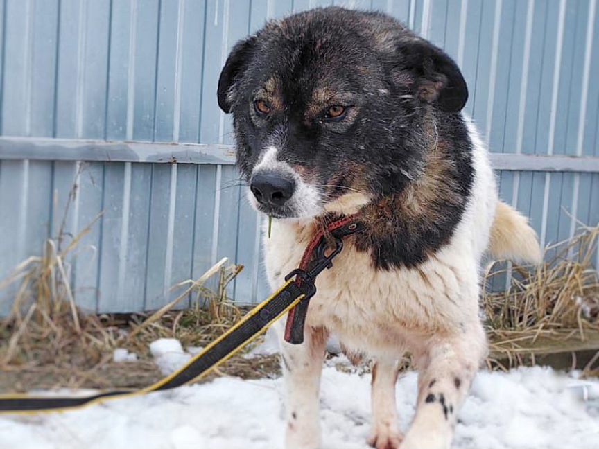 Самая добрая Бонечка
