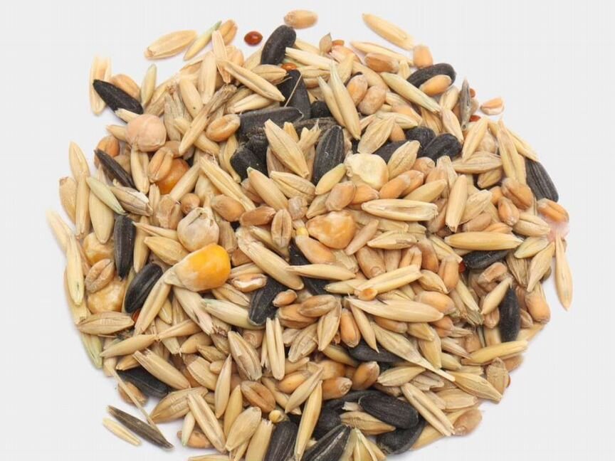 Корм для попугаев, морских свинок,хомяков,крыс