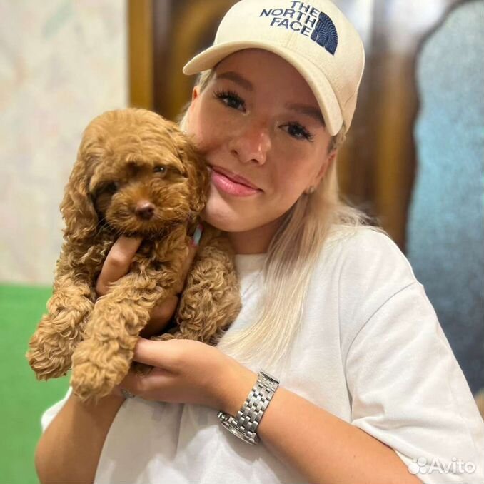 Мальчик кокапу