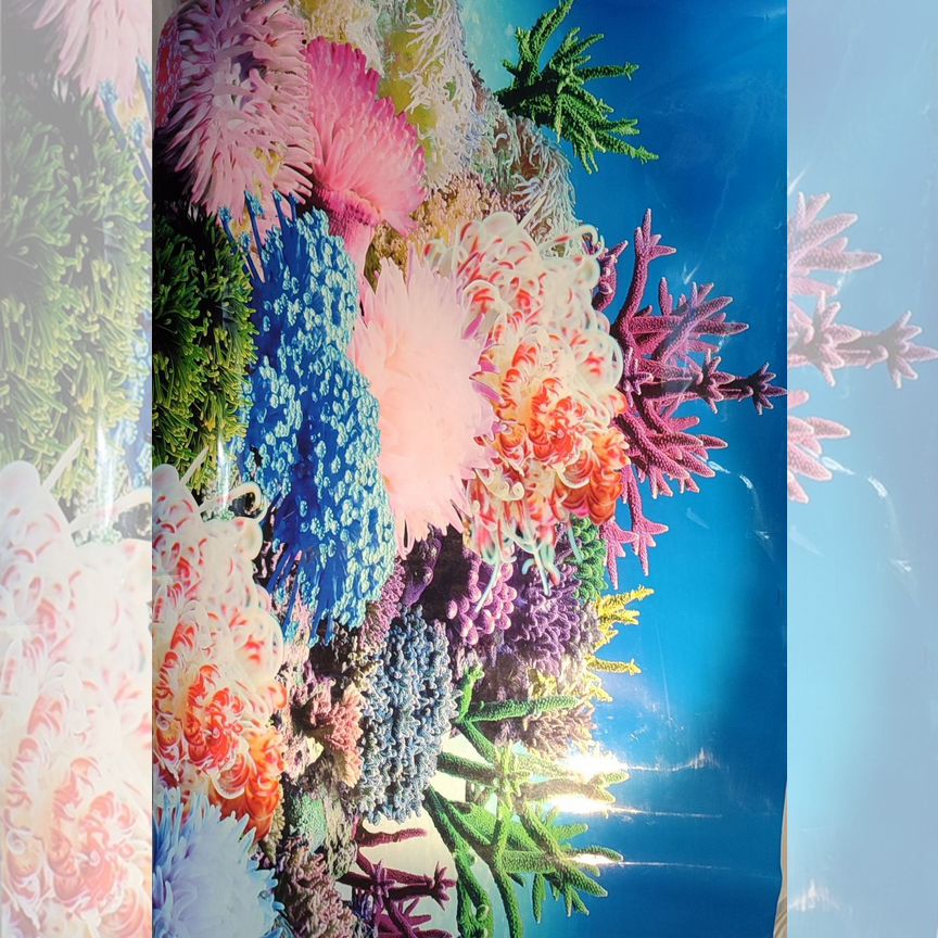 Аксессуары для аквариума