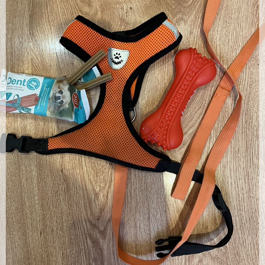 Шлейка для маленькой собаки