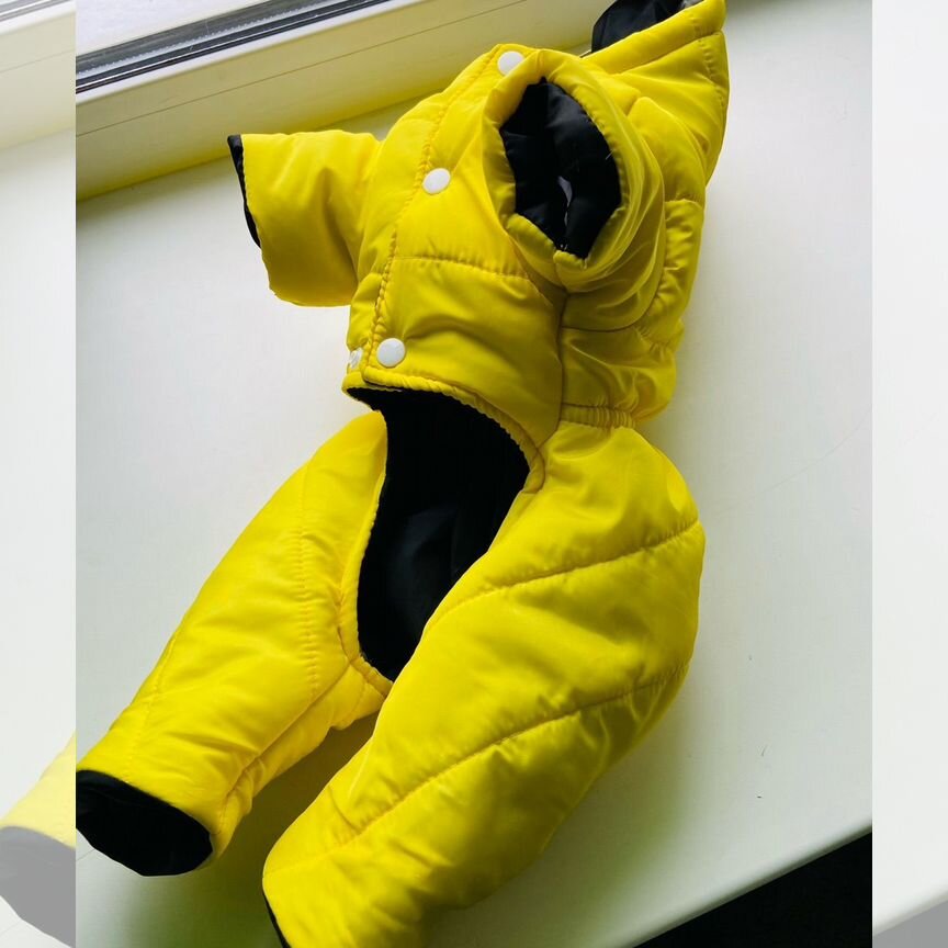 Одежда для собак