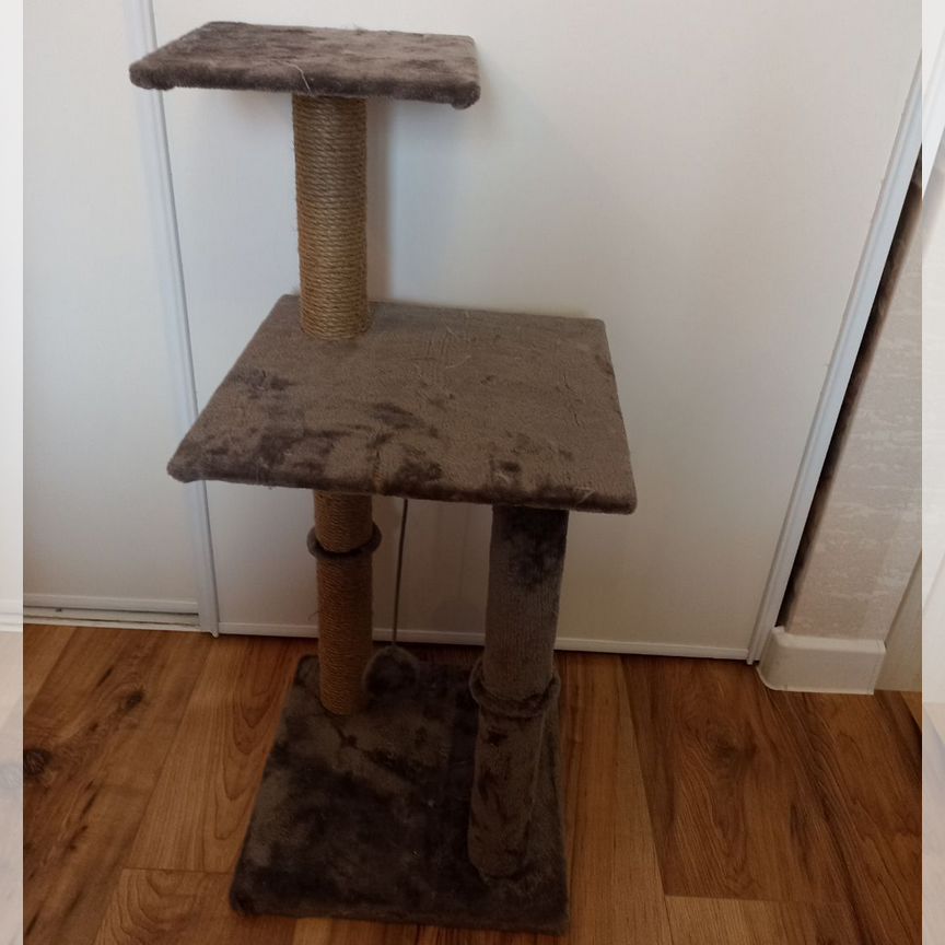 Когтеточка