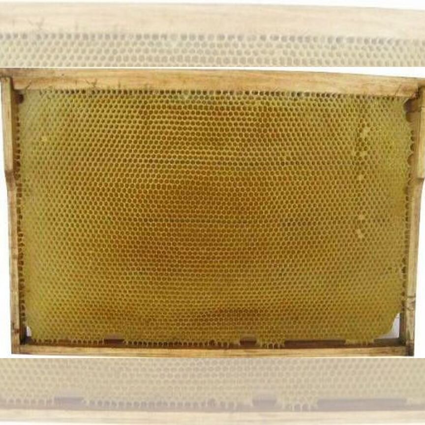 Рамки с сушью