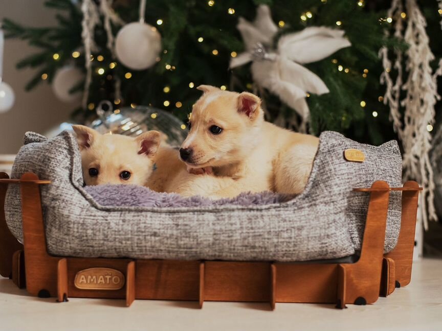 Лежанка для собак мелких пород и кошек