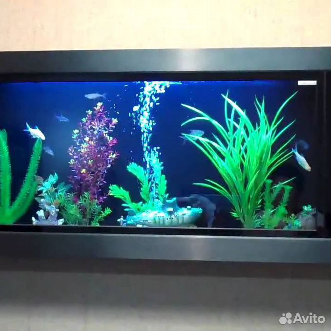 Аквариум Aquavista