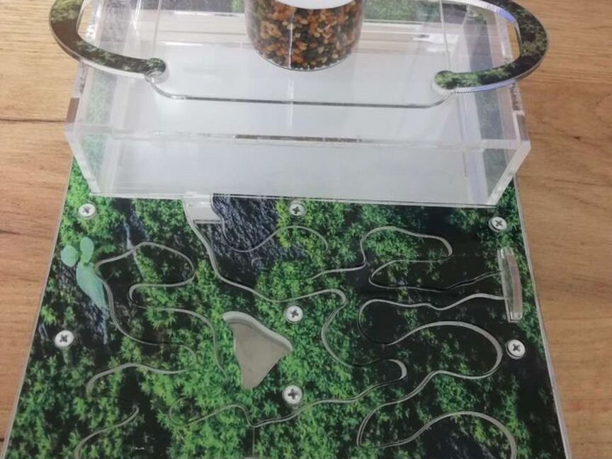 Муравьиная ферма