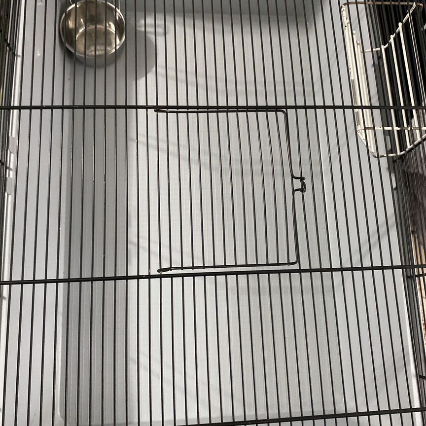 Клетка для морской свинки, крысы, кролика