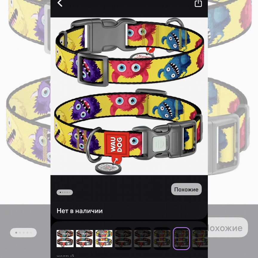 Ошейник и поводок