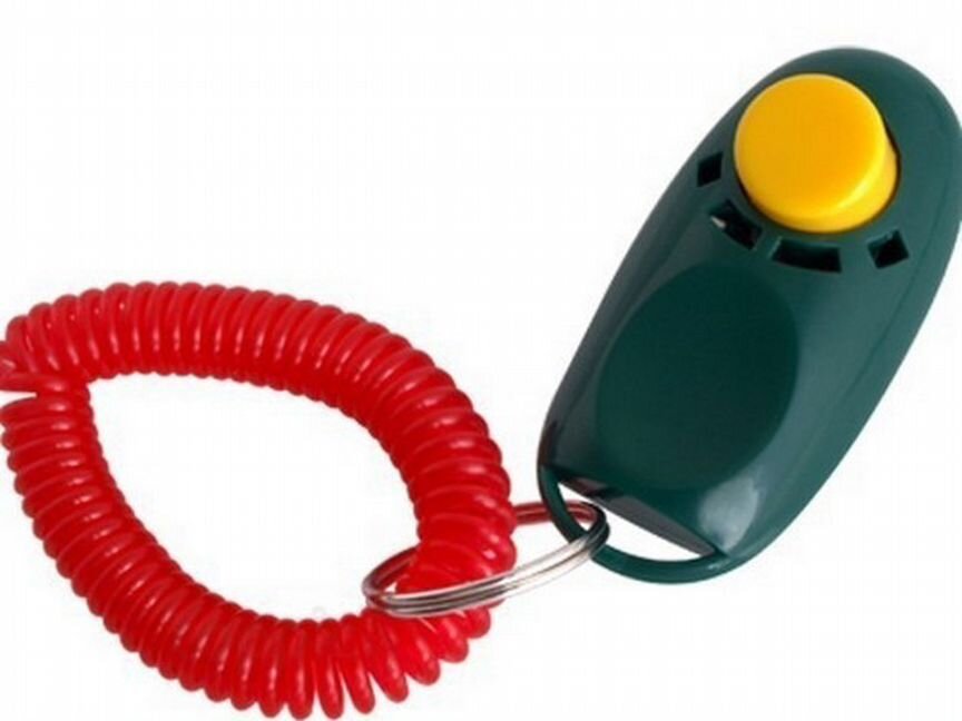 Кликер кнопочный