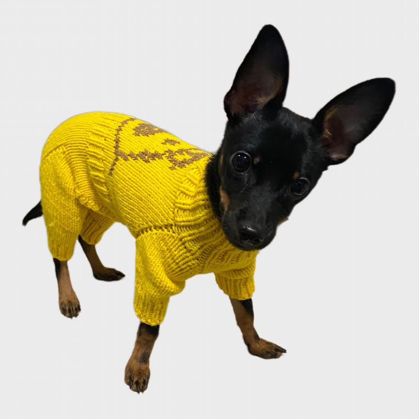 Вязаные вещи для собак мелких пород