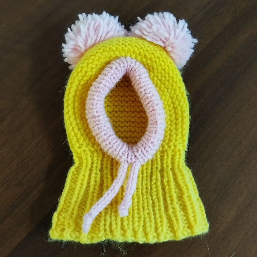 Вещи для чихуахуа