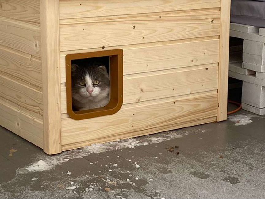 Будка зимняя для кошек